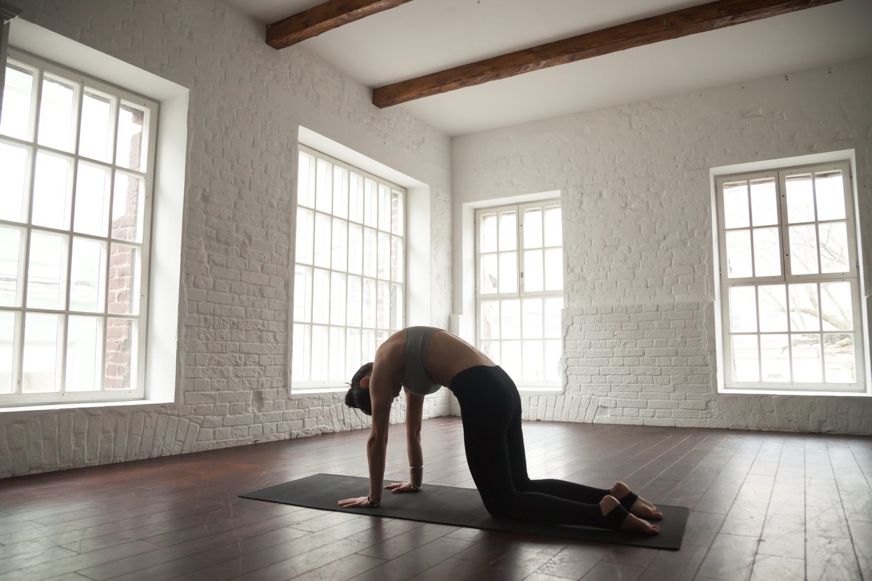 Yoga: la posizione del gatto | Ohga!