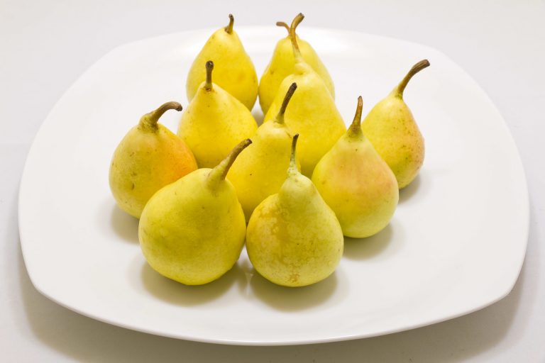 Quante varietà di pere esistono? Ecco i tipi più diffusi | Ohga!