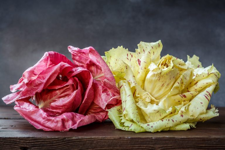 Radicchio rosa: proprietà, benefici e usi | Ohga!
