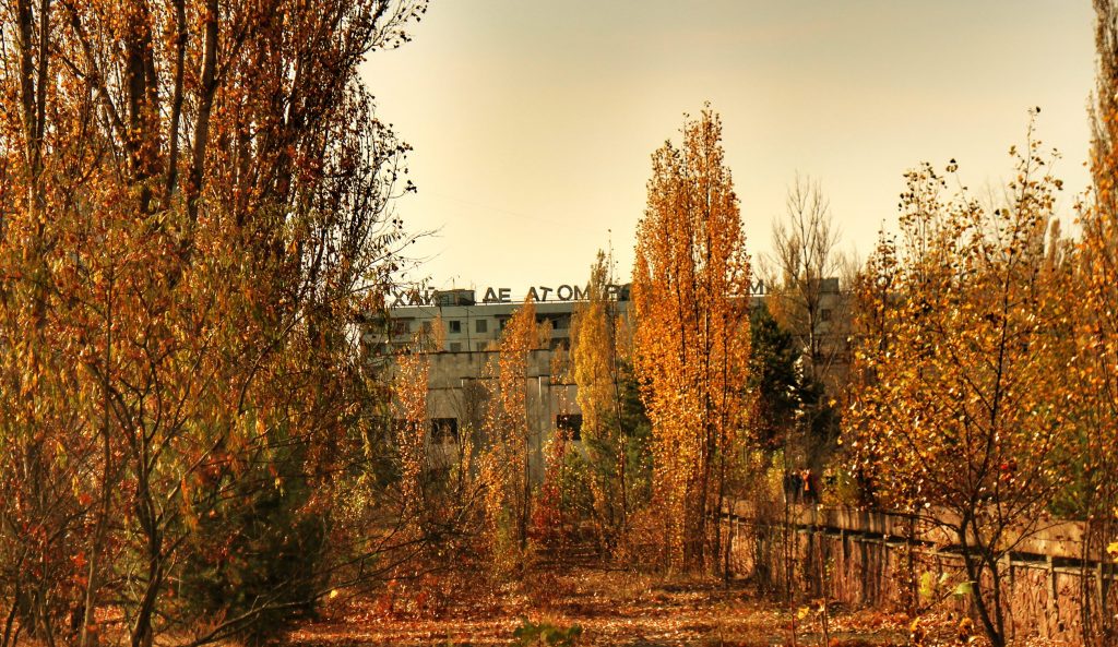 Gli effetti del disastro di Chernobyl sulla natura, la storia della ...