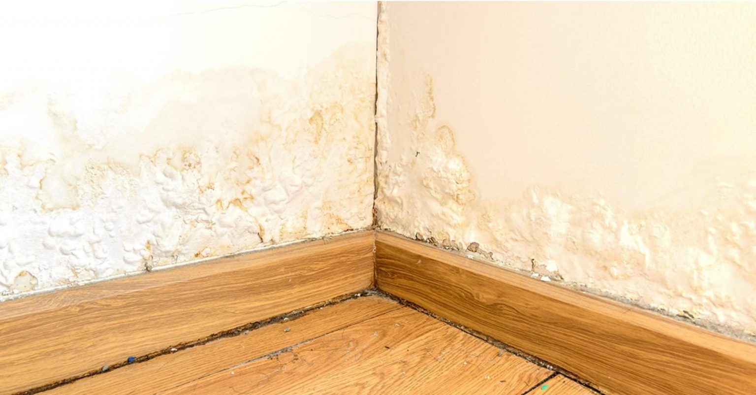 Come eliminare la muffa dai muri con rimedi naturali | Ohga!