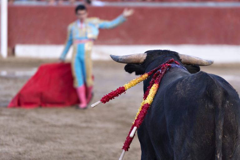 La corrida è uno spettacolo sovvenzionato dai fondi europei | Ohga!