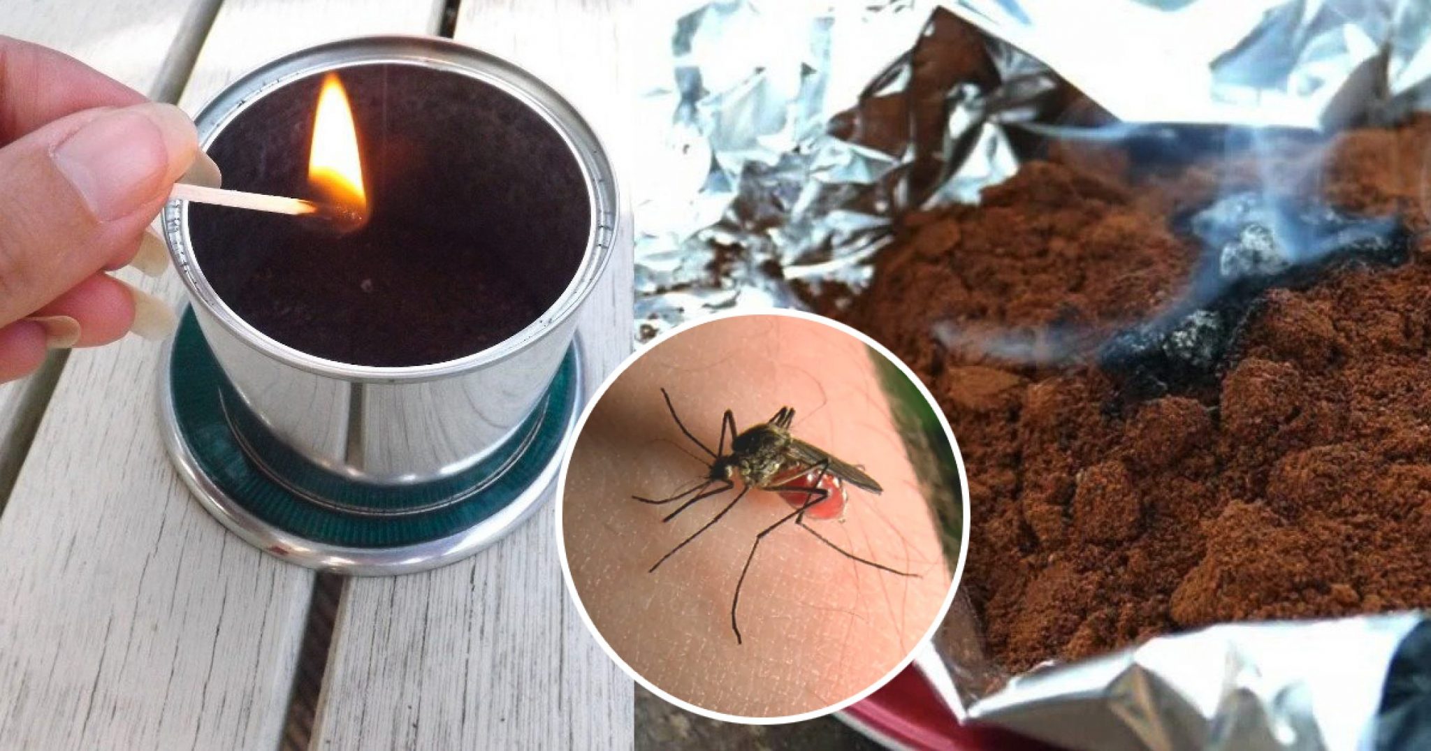 I 10 migliori rimedi per allontanare le zanzare in modo naturale | Ohga!