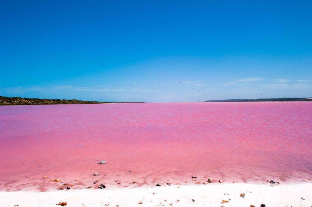 Il lago rosa in Australia: dove si trova il Lake Hillier | Ohga!