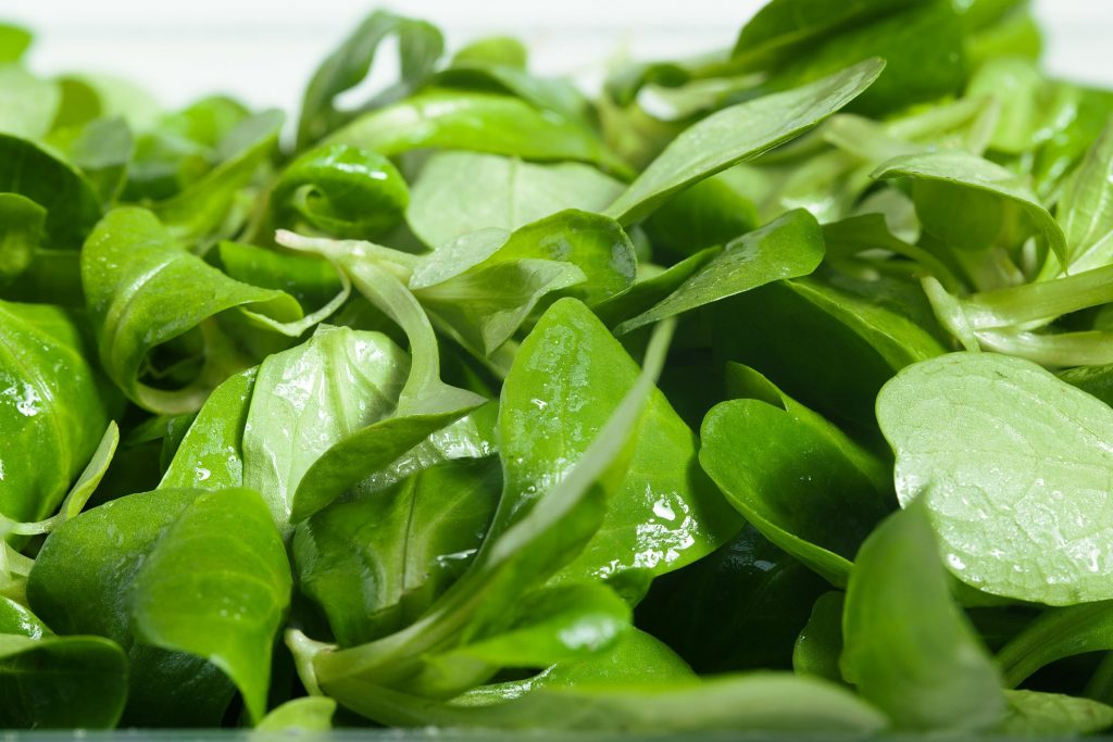 Songino: proprietà, benefici e valori nutrizionali | Ohga!