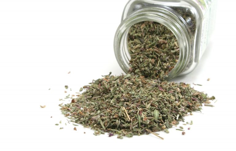 Timo: proprietà, benefici e usi | Ohga!