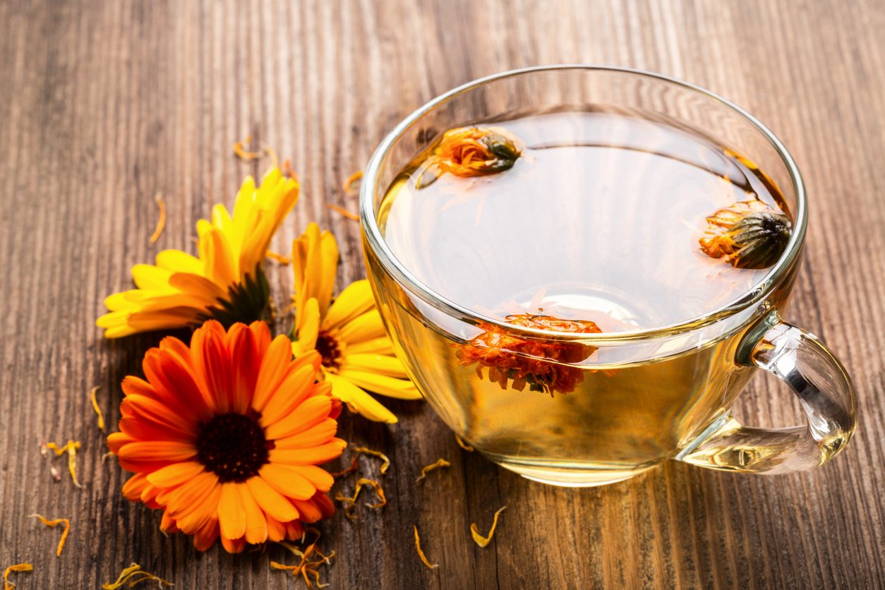 Calendula: principi attivi, proprietà e usi | Ohga!