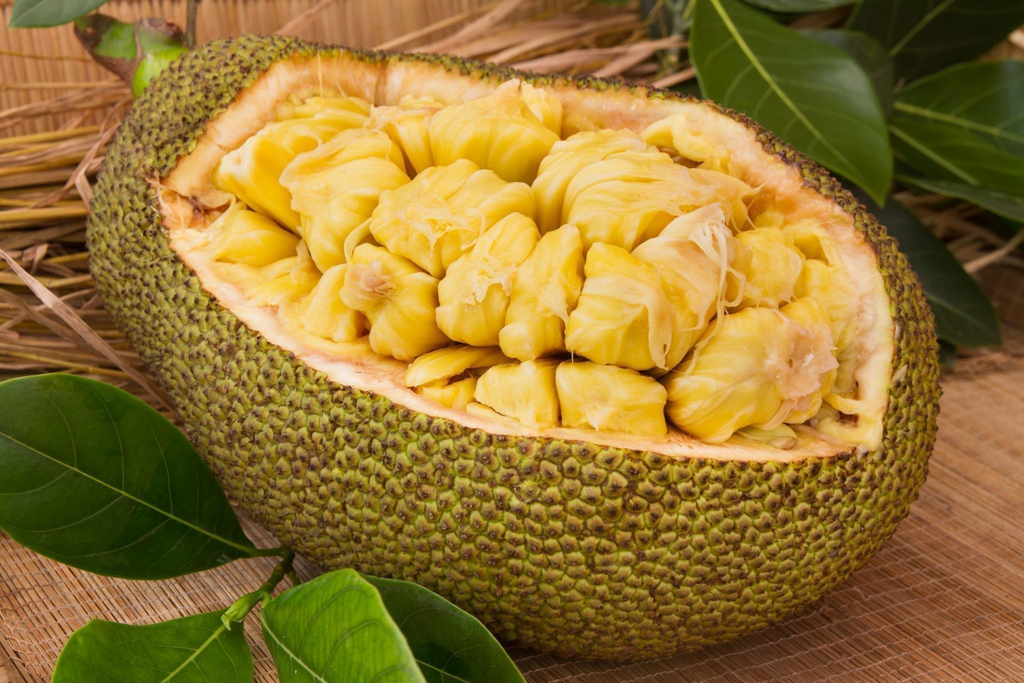 Il jackfruit (o Giaco): proprietà, benefici e coltivazione | Ohga!