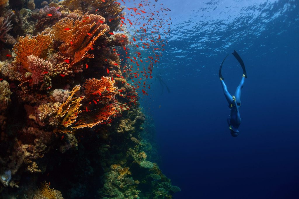 Senza ossigeno a più di 100 metri di profondità: superare i propri ...