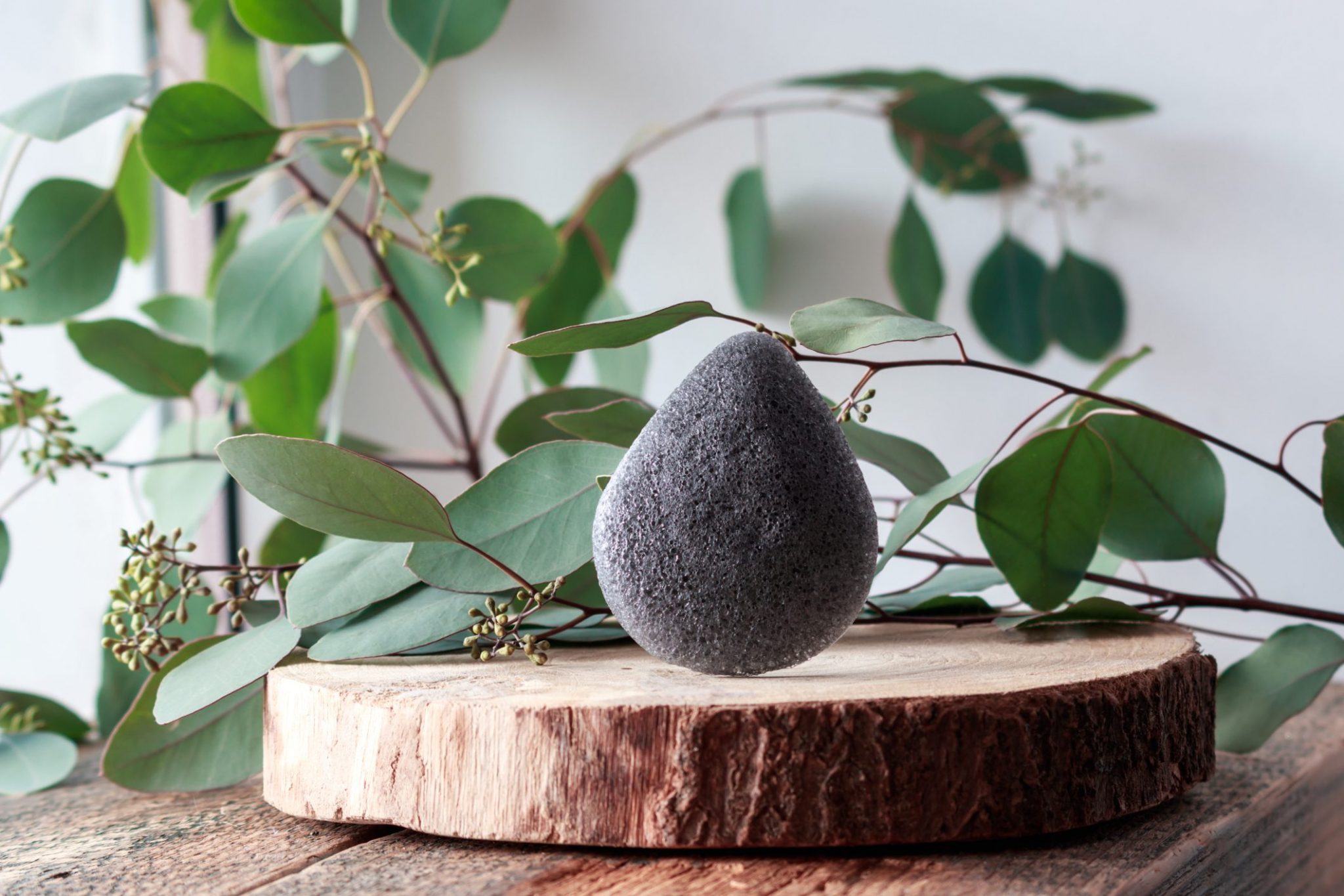 Spugne naturali: quali sono, usi e benefici | Ohga!