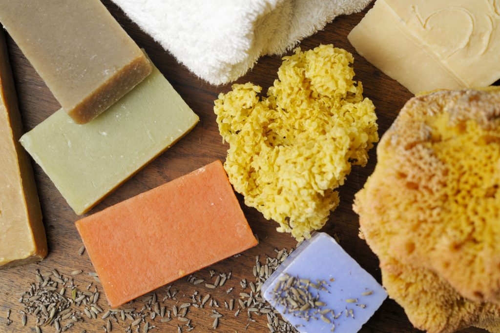 Spugne naturali: quali sono, usi e benefici | Ohga!