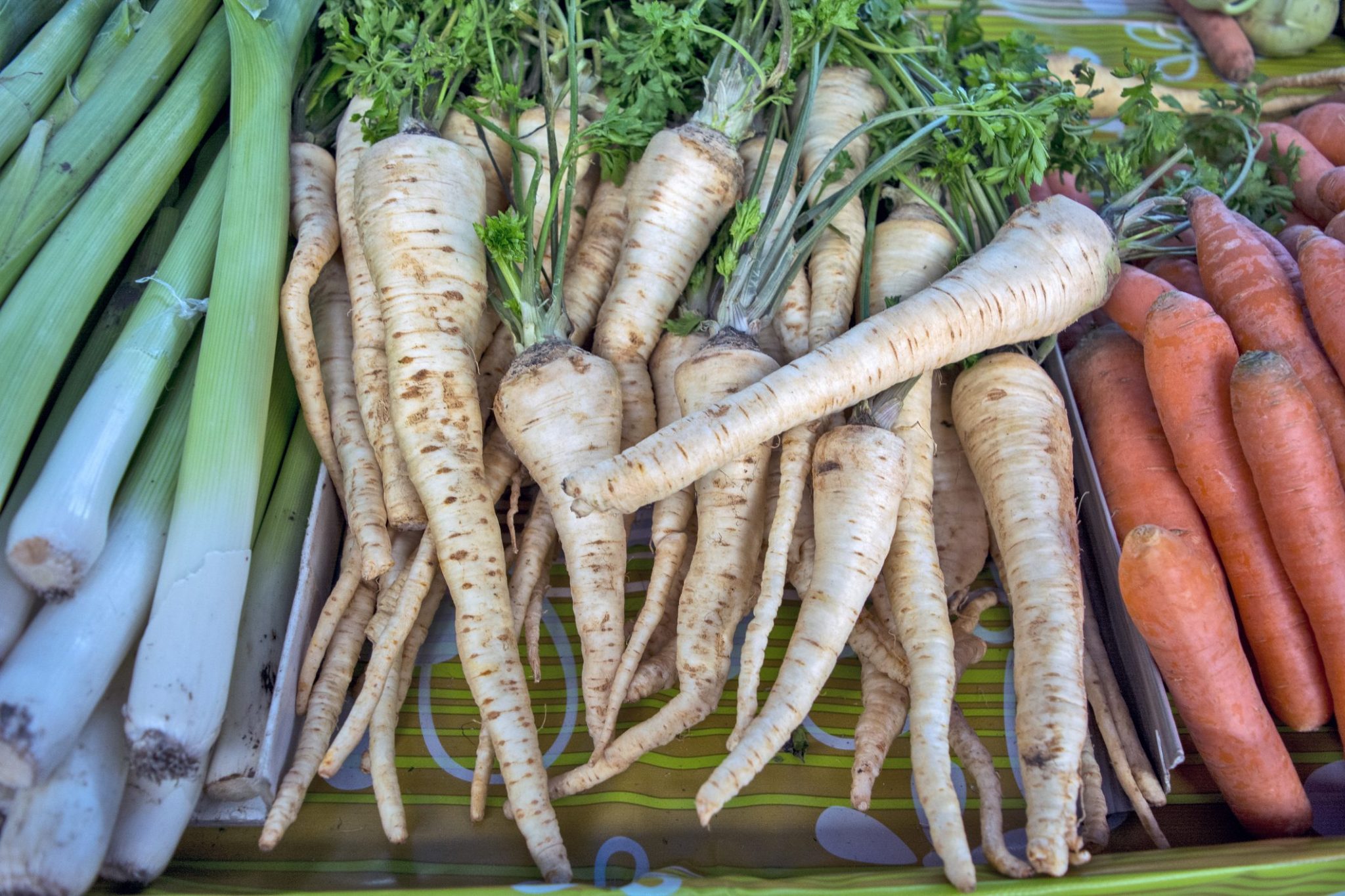 Pastinaca: cos'è, proprietà e usi in cucina | Ohga!