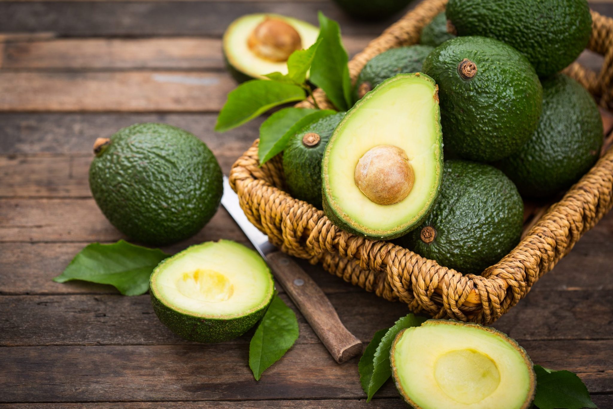 Come far germogliare un seme di avocado: tutte le fasi da seguire | Ohga!
