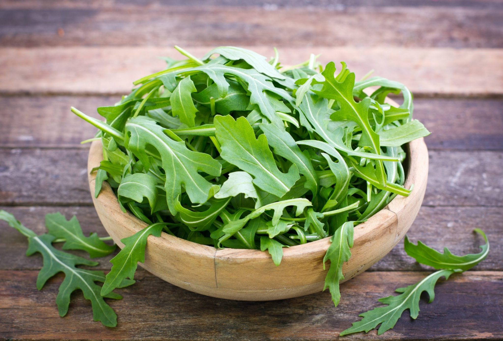 Come preparare il pesto di rucola: la ricetta semplice e veloce | Ohga!