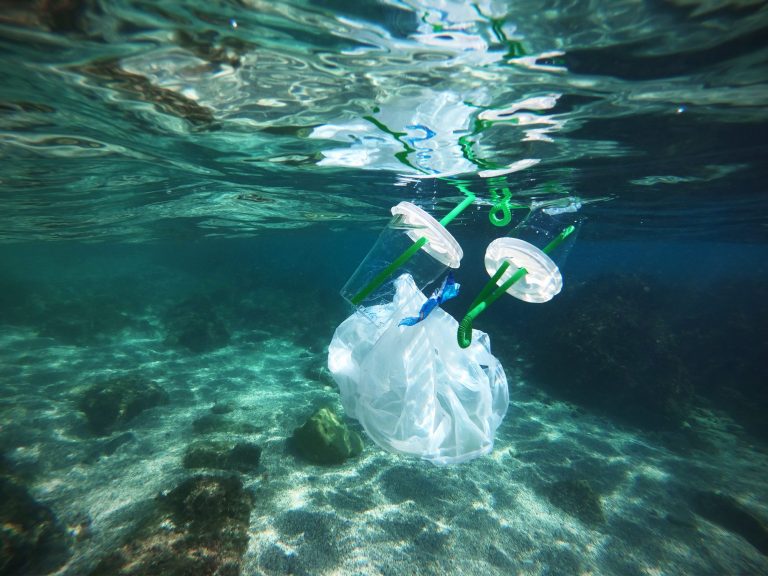 La mappa dei viaggi e delle rotte della plastica nel Mar Mediterraneo | Ohga!