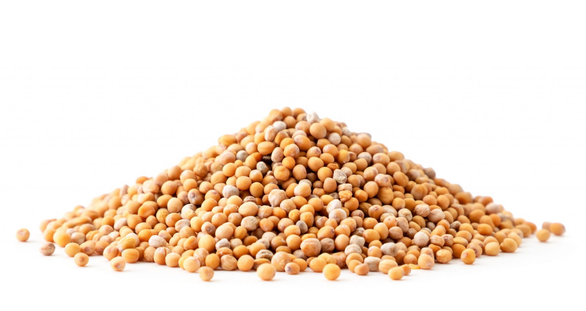 Senape: proprietà e benefici | Ohga!