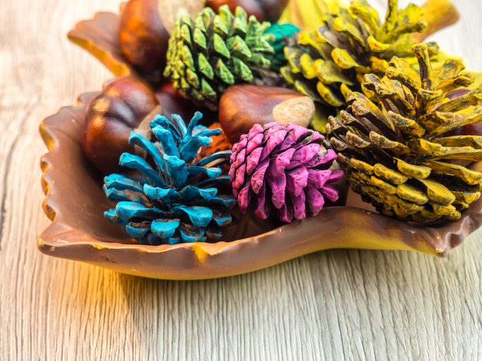 Come dipingere le pigne | Ohga!