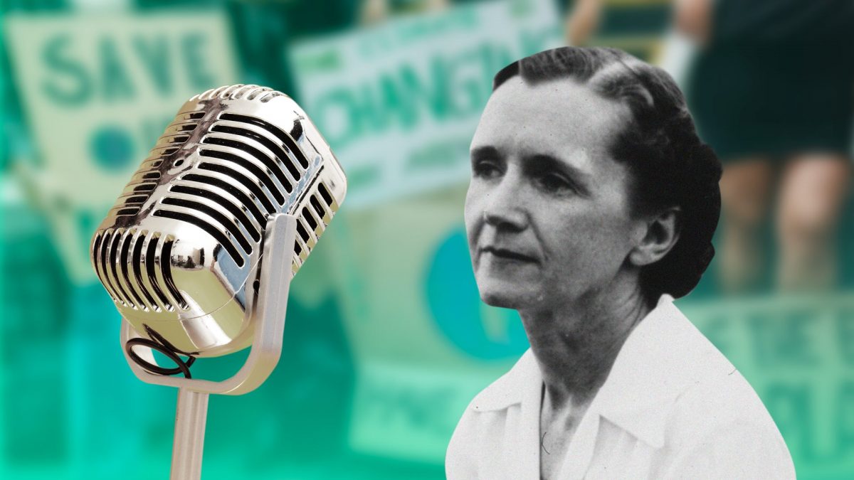 Julia Butterfly Hill: la ragazza che passò due anni in cima a una ...