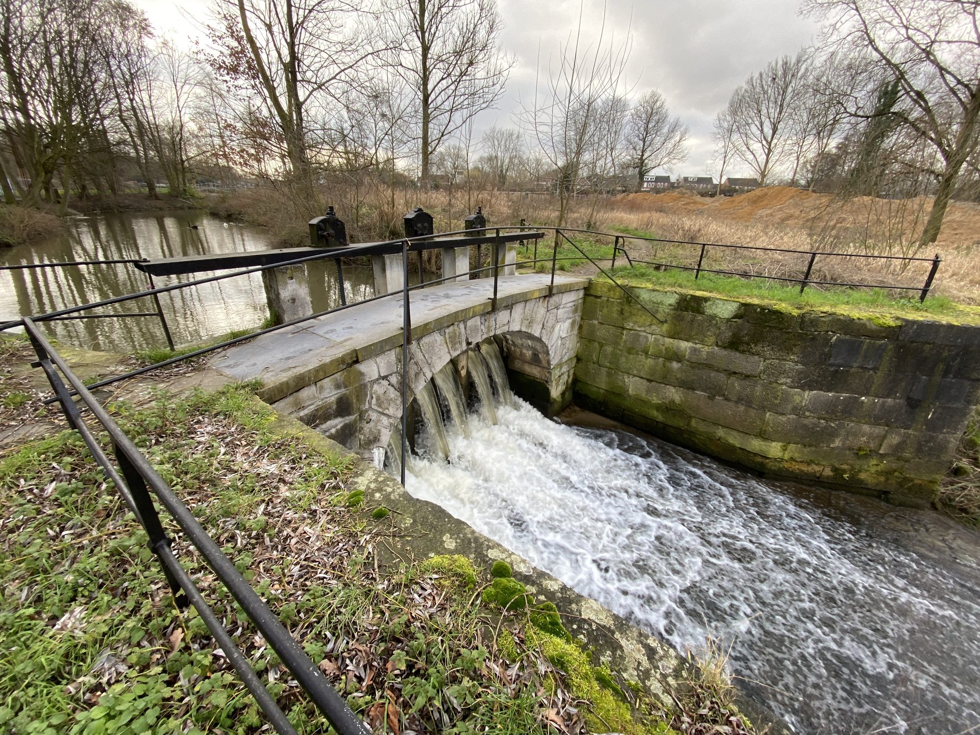 L'Europa sta rimuovendo le dighe più vecchie dai fiumi per favorire ...