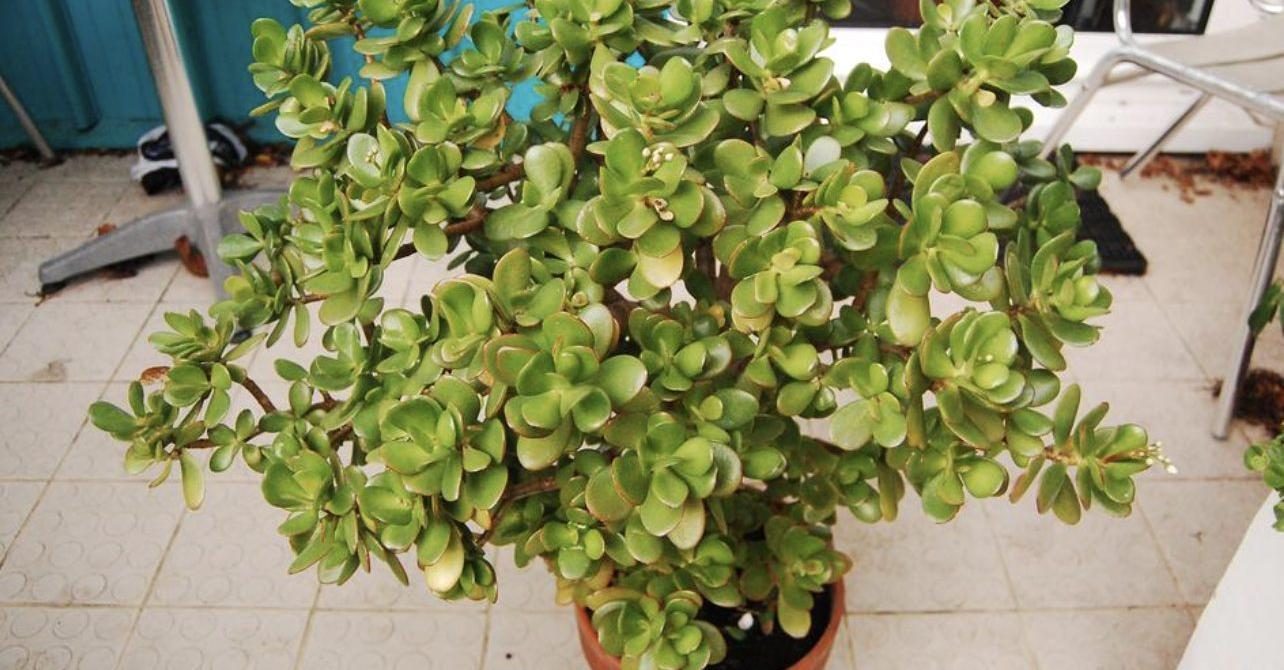 Il Sentiero delle Porte d'Artista | Ohga!