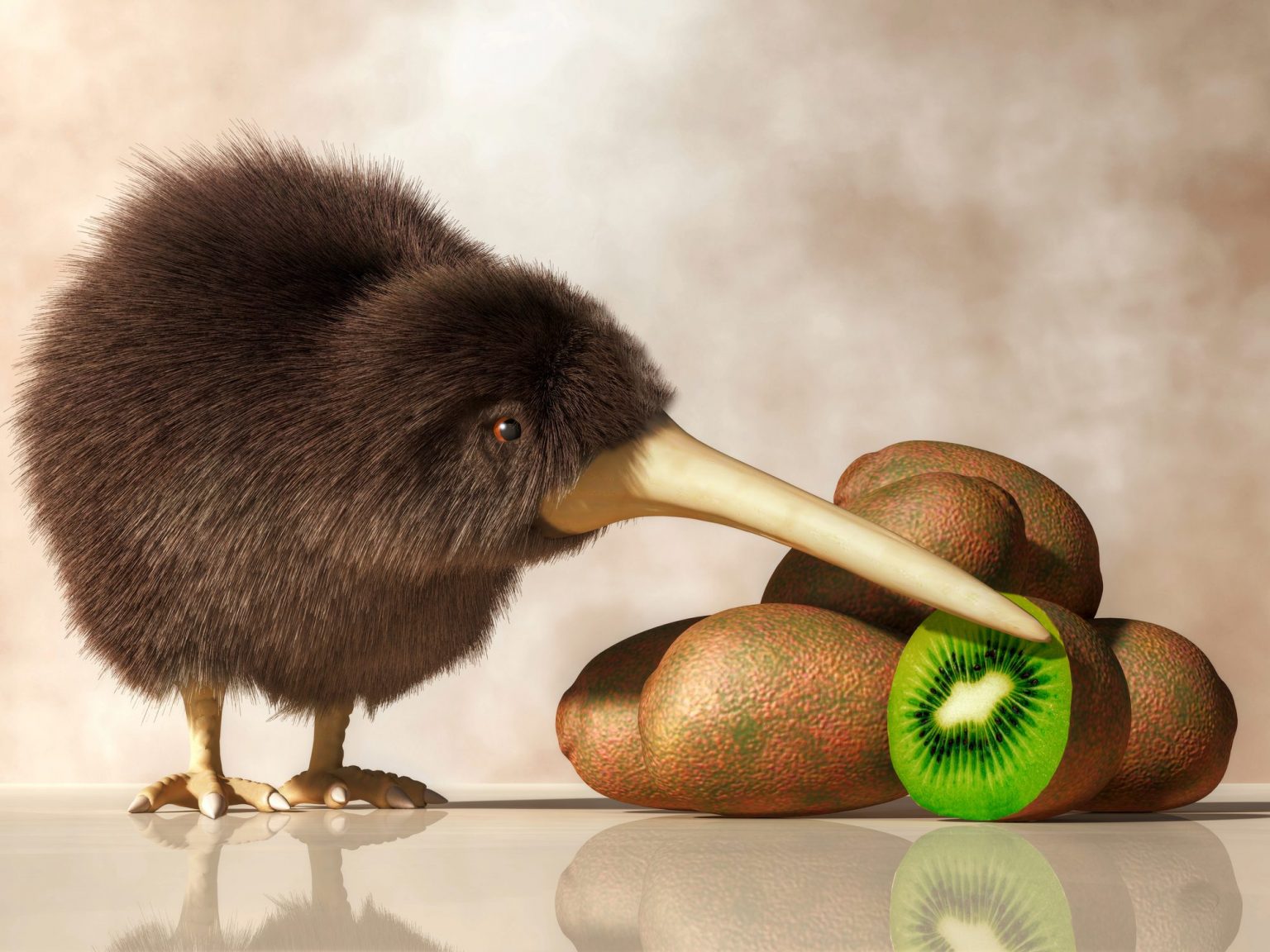 Kiwi animale: dove vive, dimensioni e curiosità | Ohga!