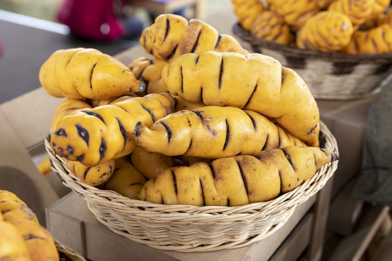 Oca del Perù: radice, proprietà e usi | Ohga!