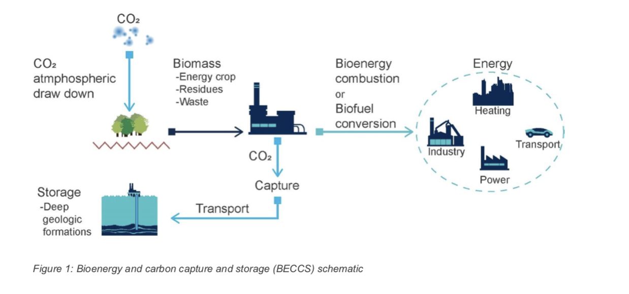 Carbon Capture and Storage, cos'è e come funziona la tecnologia che ...