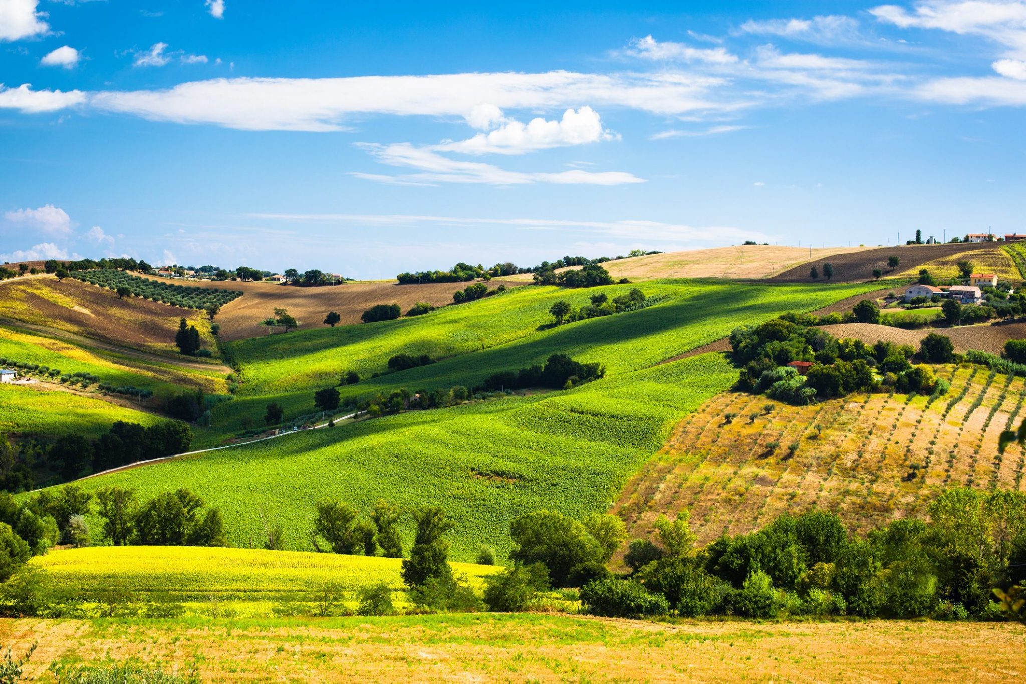 La collina simbolo delle Marche potrebbe diventare una discarica: fu il ...