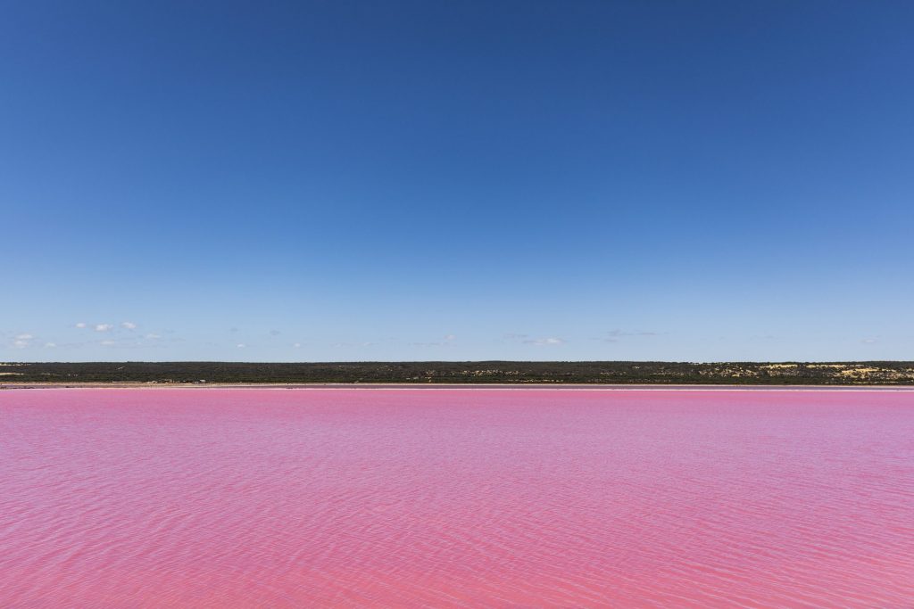 Uno stagno nelle Hawaii si è colorato di rosa, ma non è una buona ...