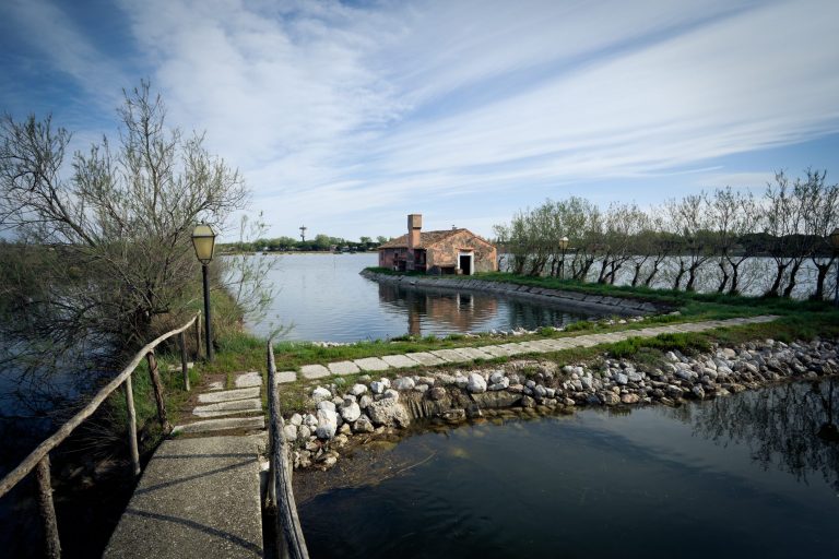 Dove si trova l'isola di Albarella e cosa vedere | Ohga!