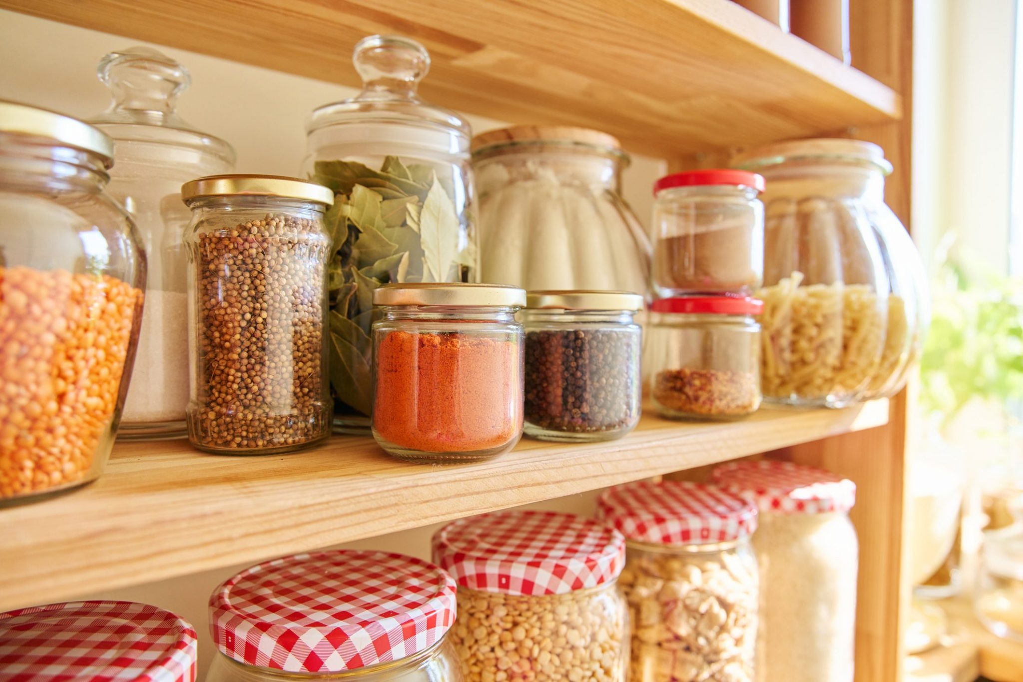 Come creare un giardino in bottiglia | Ohga! Come creare un giardino in bottiglia | Ohga!