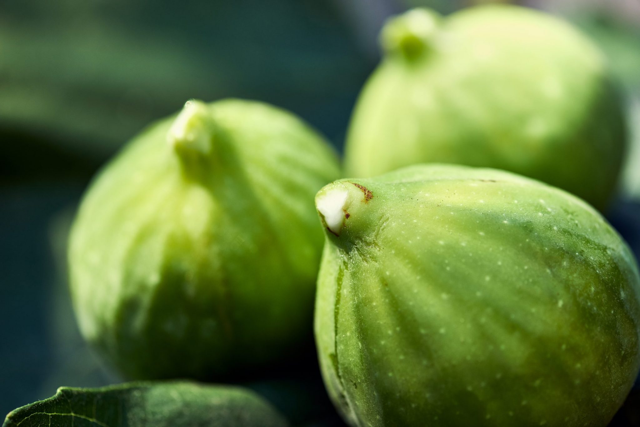 Borace: cos'è, a cosa serve e dove trovarlo | Ohga!