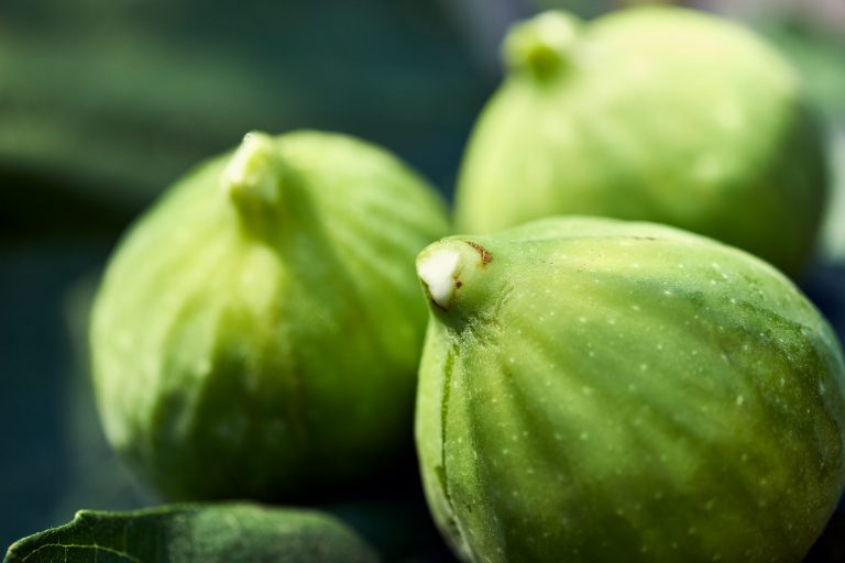 Borace: cos'è, a cosa serve e dove trovarlo | Ohga!